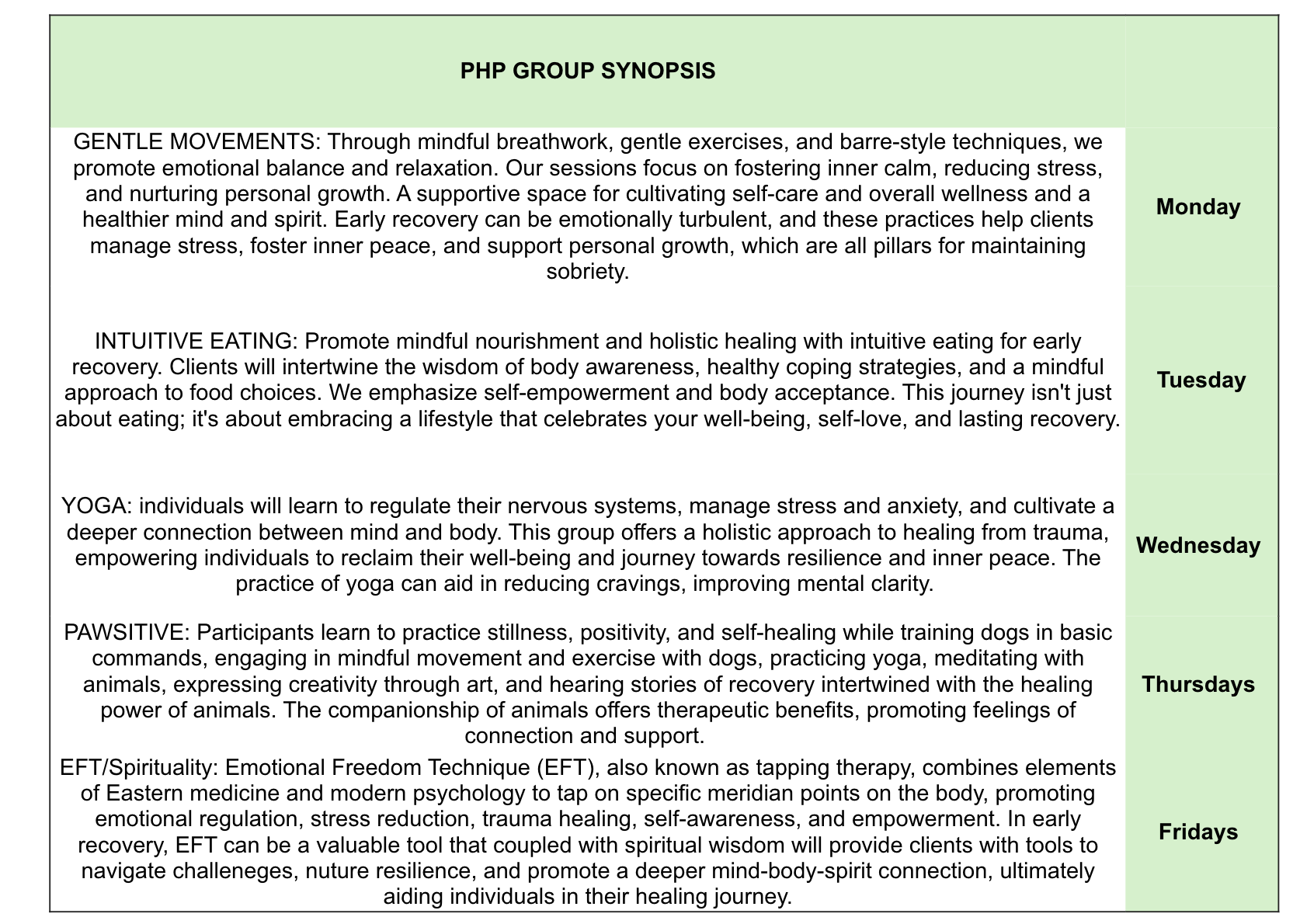 PHP Program in Colorado | Partial Hospitalization Program